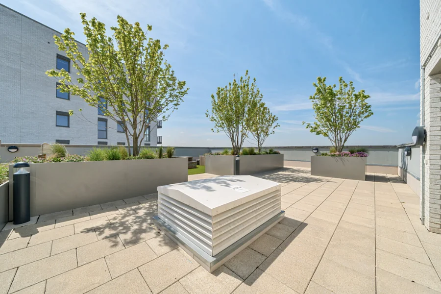 Ark Soane | Simple Life London